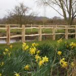 2-3 Rail Cleft Fencing - WINTERBORNE ZELSTON FENCING